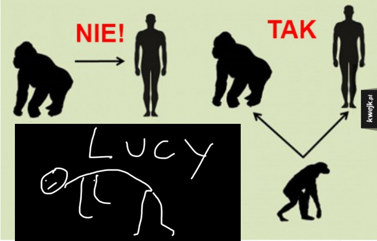 Australopiteki (wymarłe małpy afrykańskie) nie były przodkami ludzi ...